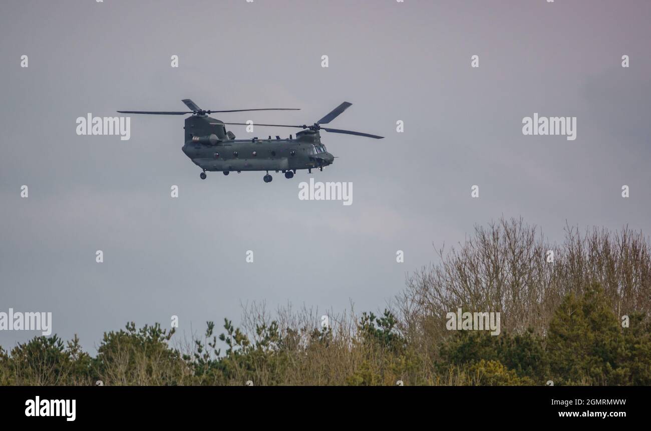 RAF Chinook tandem-rotor CH-47 helicopter flying fast and low in a ...