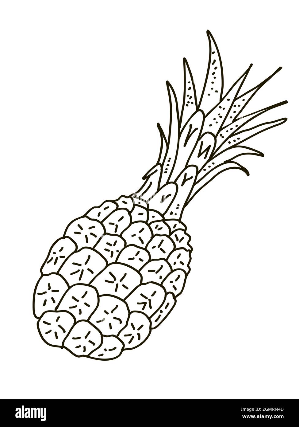 Pineapple line drawing hi-res stock photography and images - Alamy