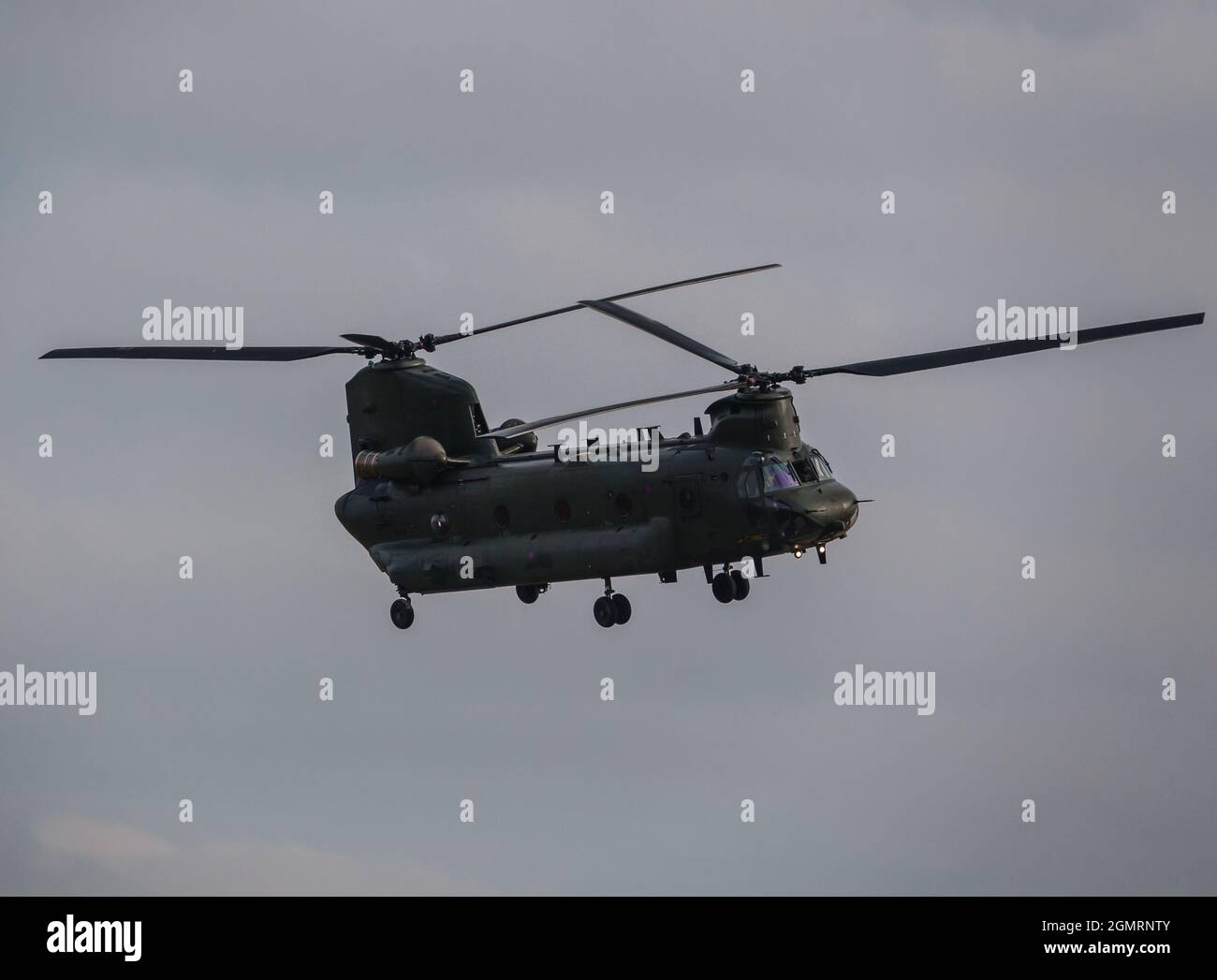 RAF Chinook tandem-rotor CH-47 helicopter flying fast and low in a ...