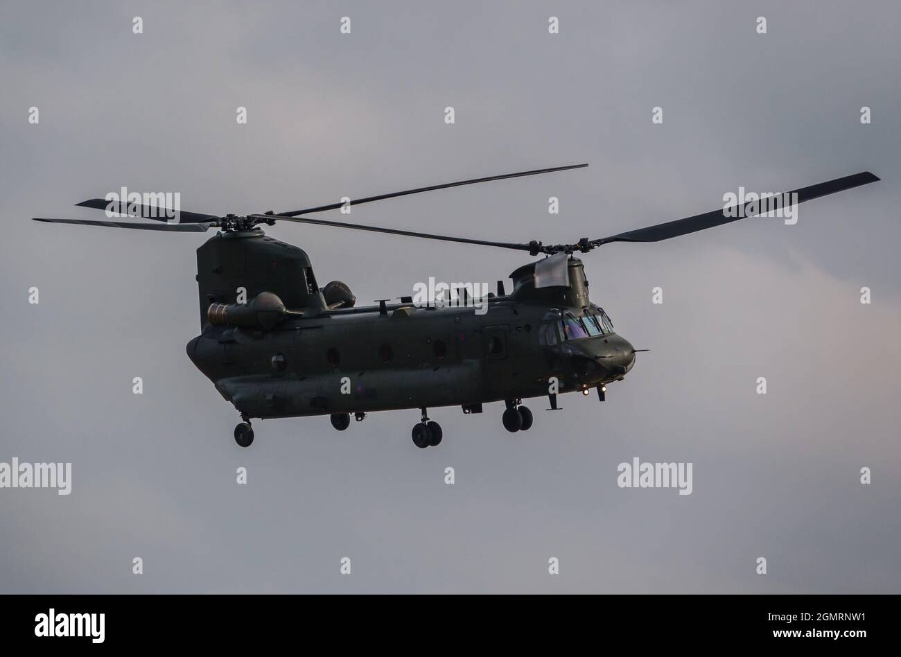 RAF Chinook tandem-rotor CH-47 helicopter flying fast and low in a ...
