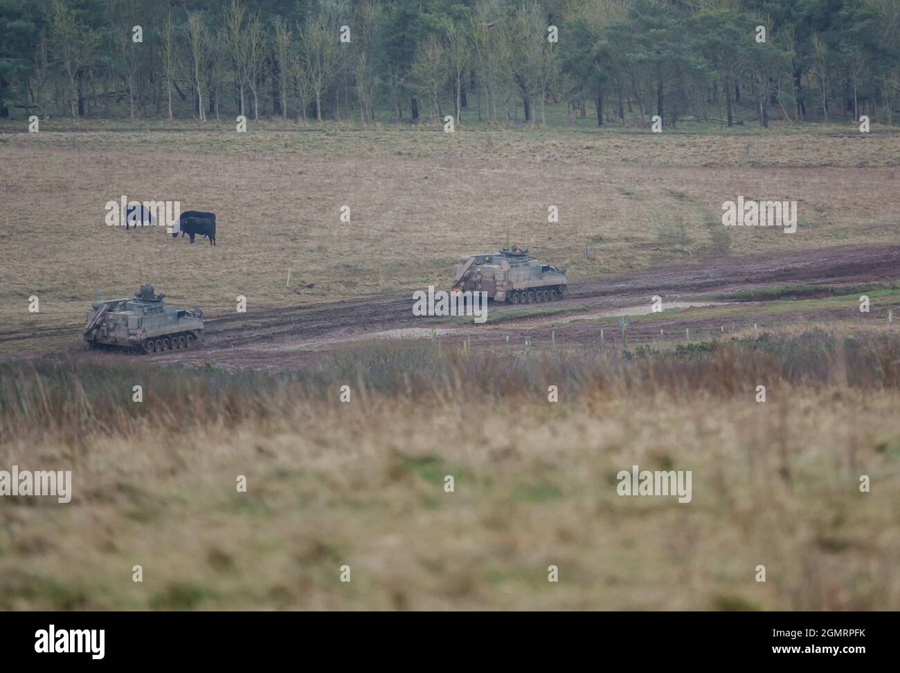 British army Warrior FV512 MRV & Warrior FV510 IFV tanks in action on a ...