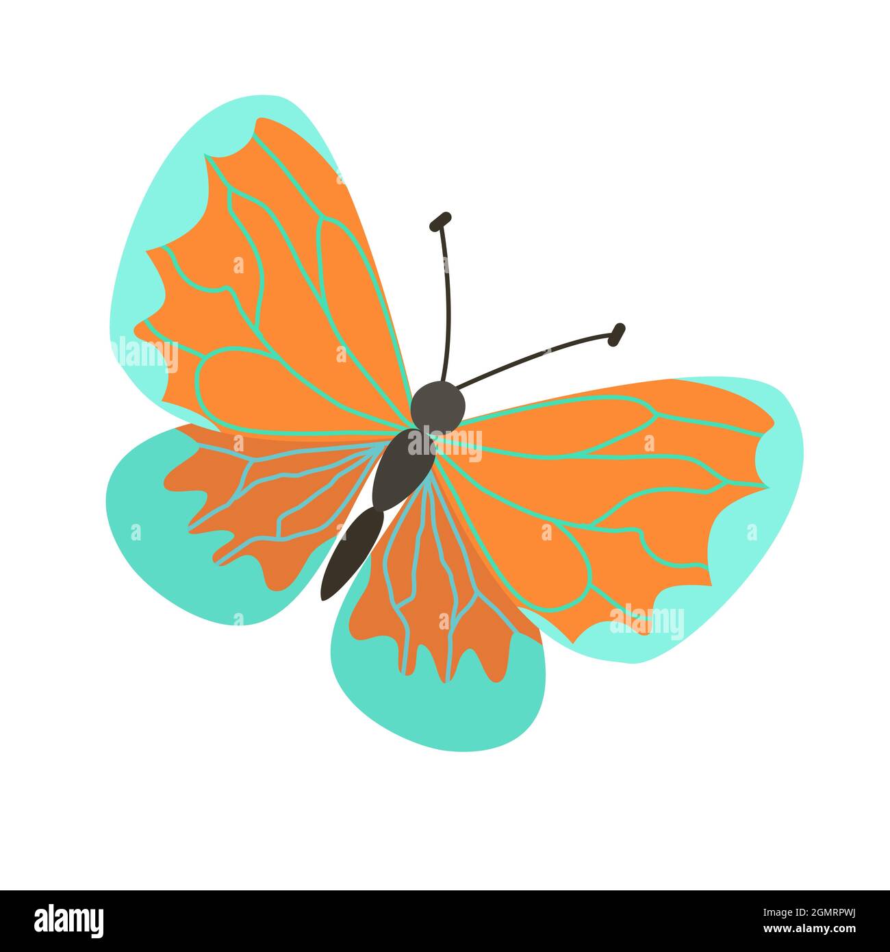 Vector illustration of a cute butterfly hand-drawn on a white ...