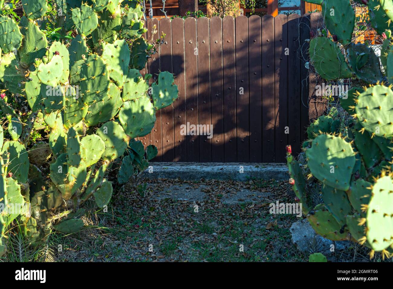 Brown wooden gate Stock Photo - Alamy