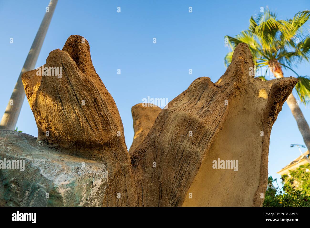 Closeup of a tree stump under a clear blue sky with vibrant palm trees ...