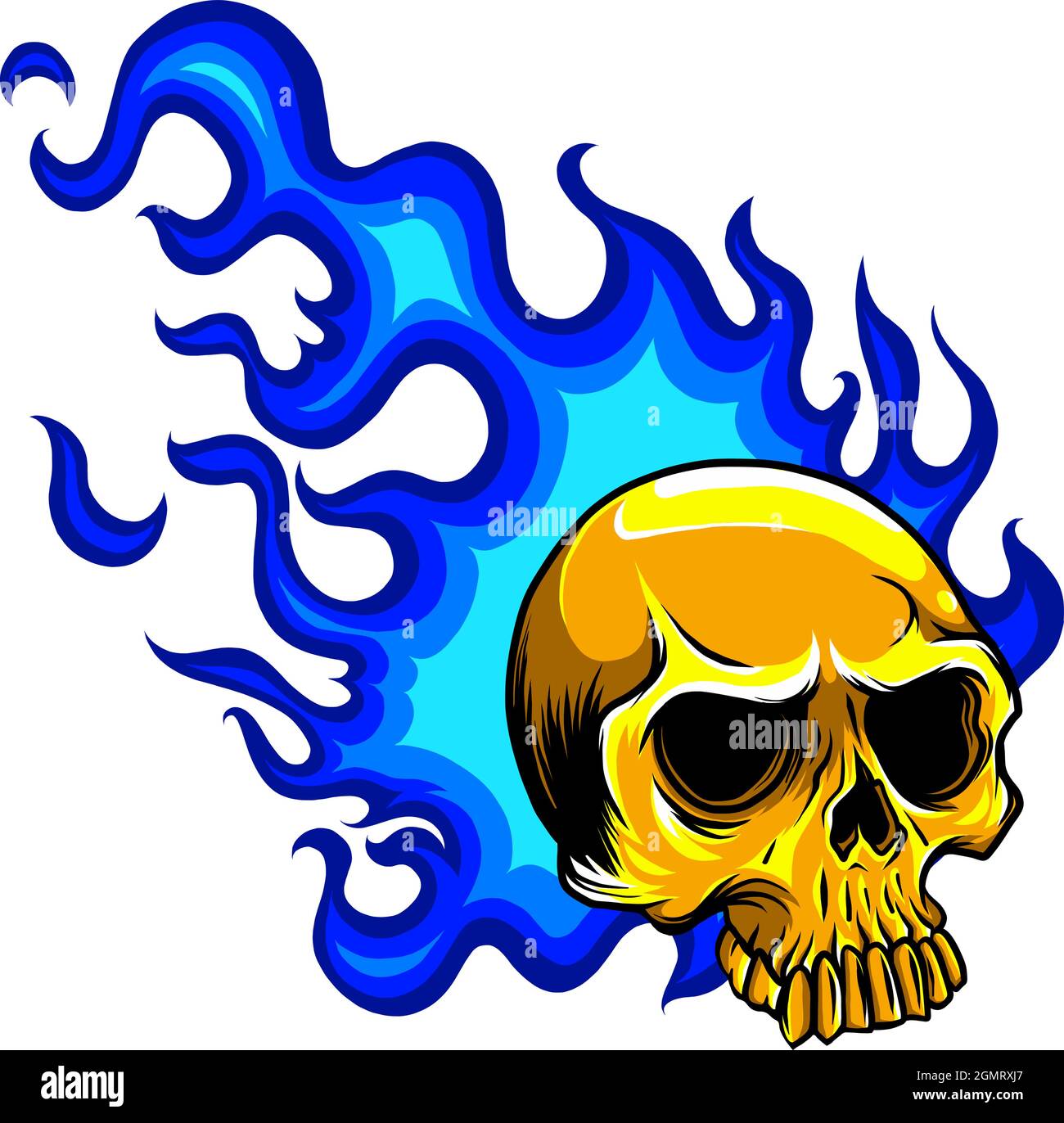 Skulls And Flames Designs