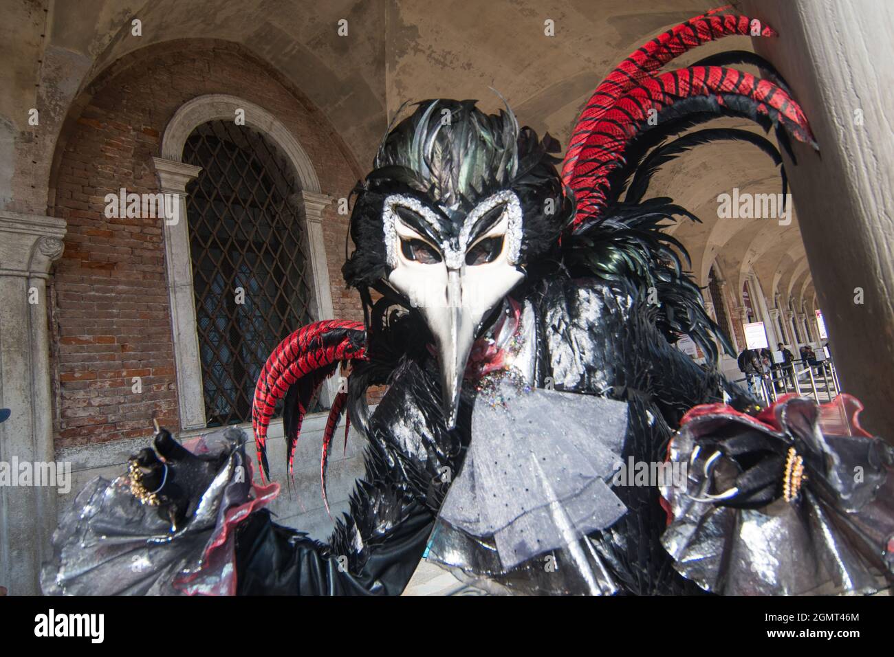 Woman dressed in a black and red feathery Carnival costume in the ...