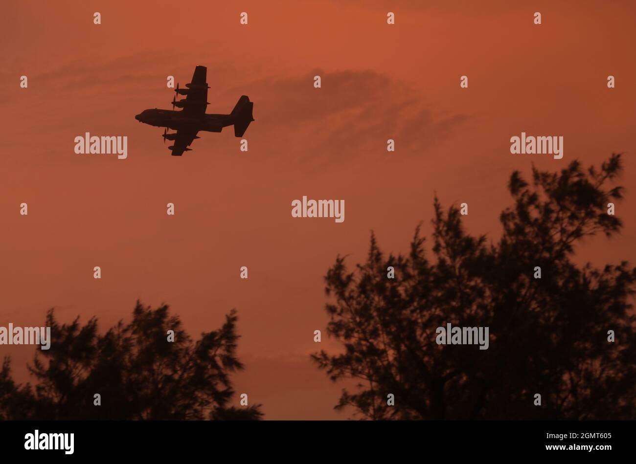 Exercise pacific dragon hi-res stock photography and images - Alamy