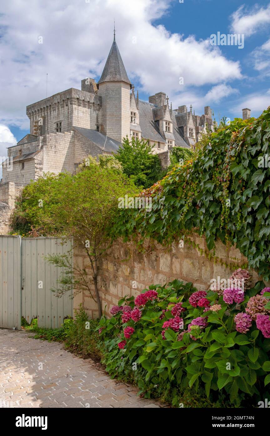 Village of Montsoreau with its castle in the Loire Valley, listed as ...