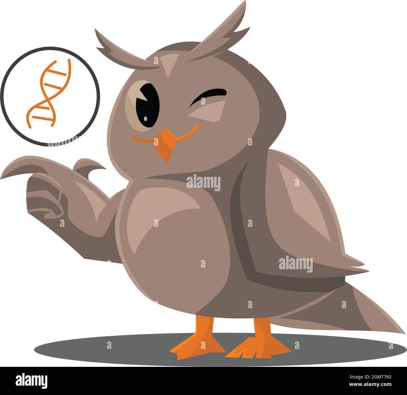 School owls. Color cute birds studying biology in school. Teaching ...