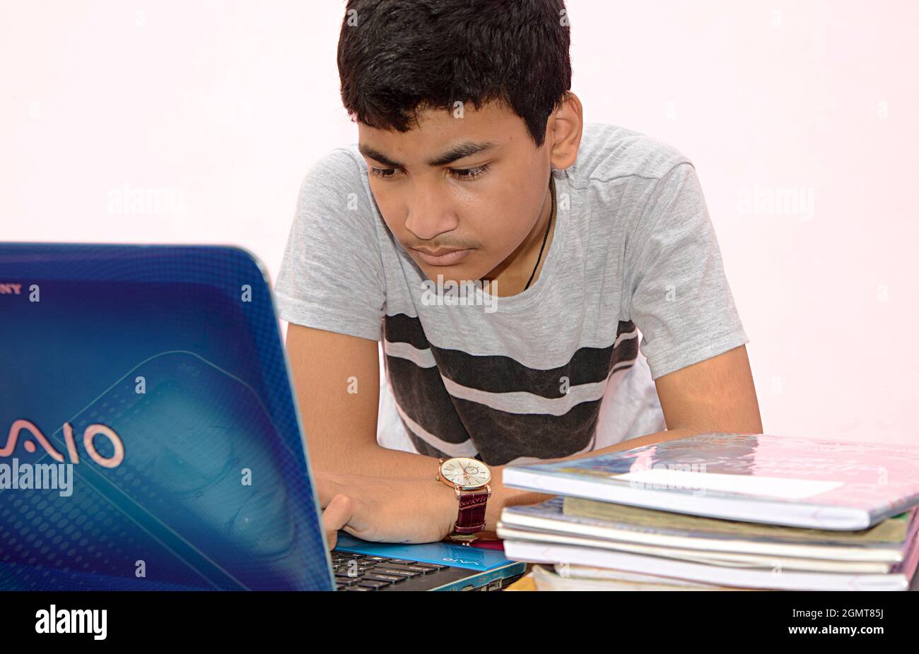 Using Laptop and studying in home Stock Photo - Alamy