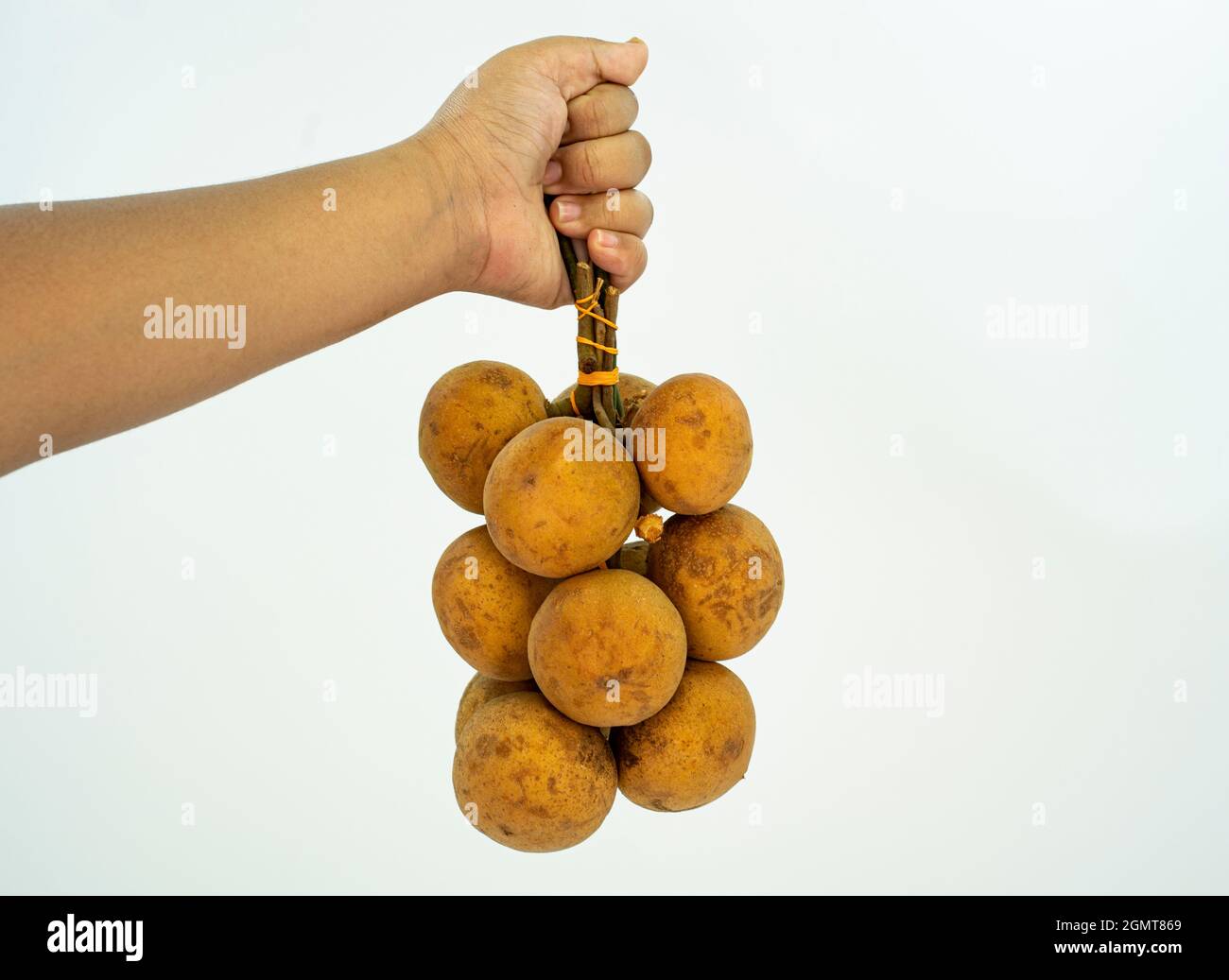 Local fruit called buah tampoi or Baccaurea macrocarpa. native to South ...