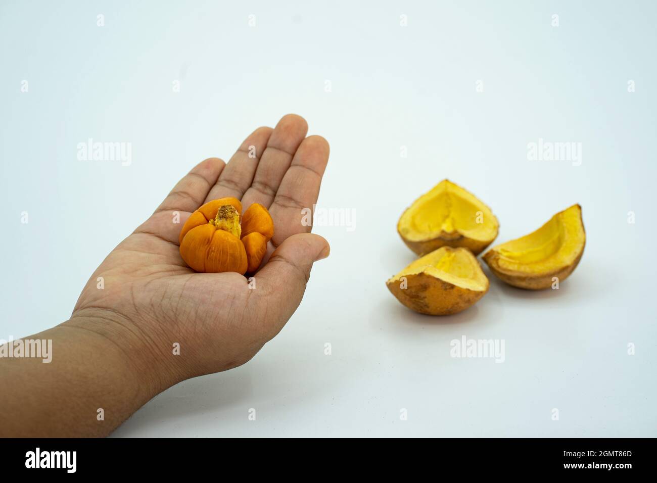 Local fruit called buah tampoi or Baccaurea macrocarpa. native to South ...