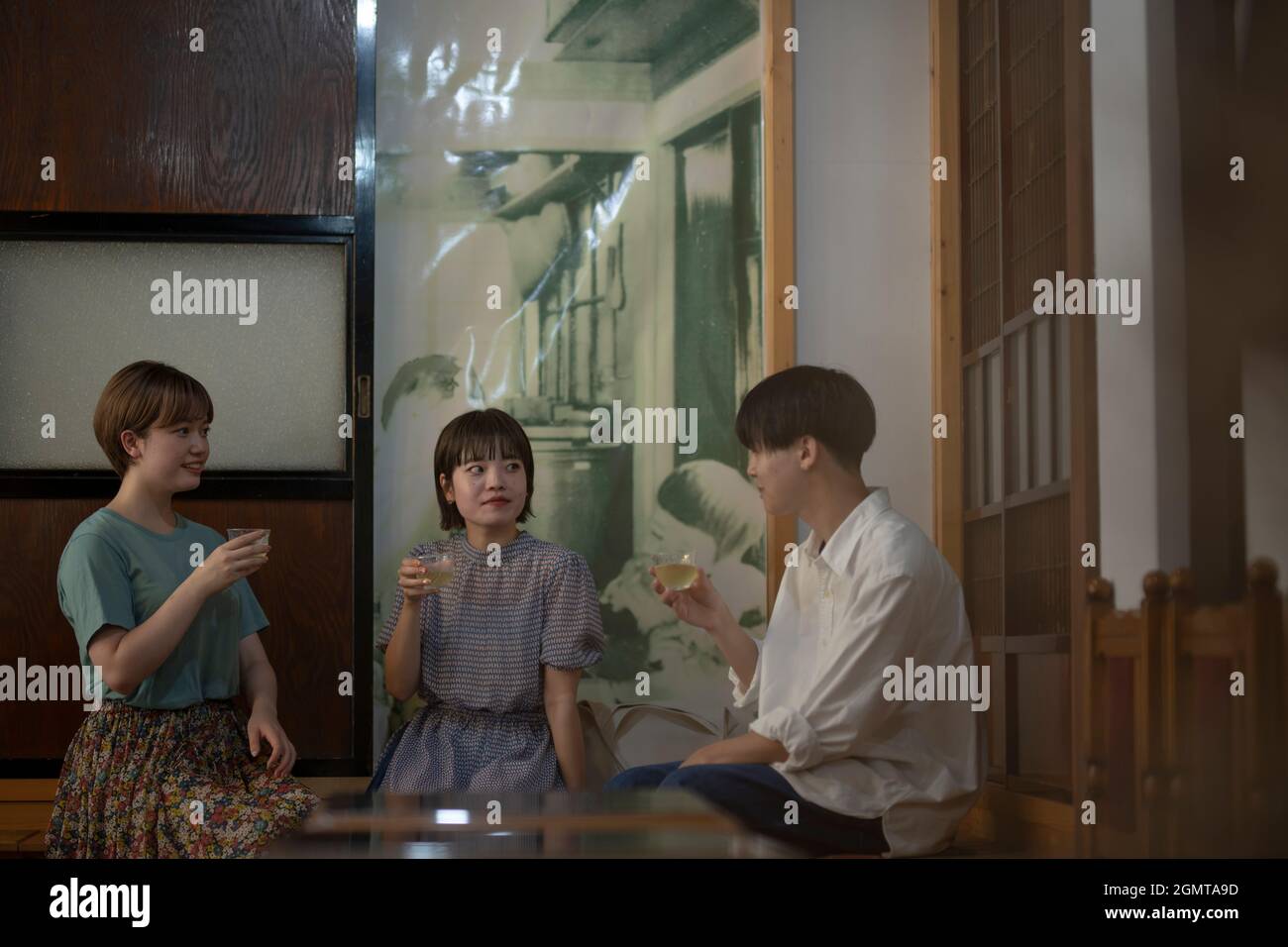 Traditional Japanese House - Chat Stock Photo - Alamy