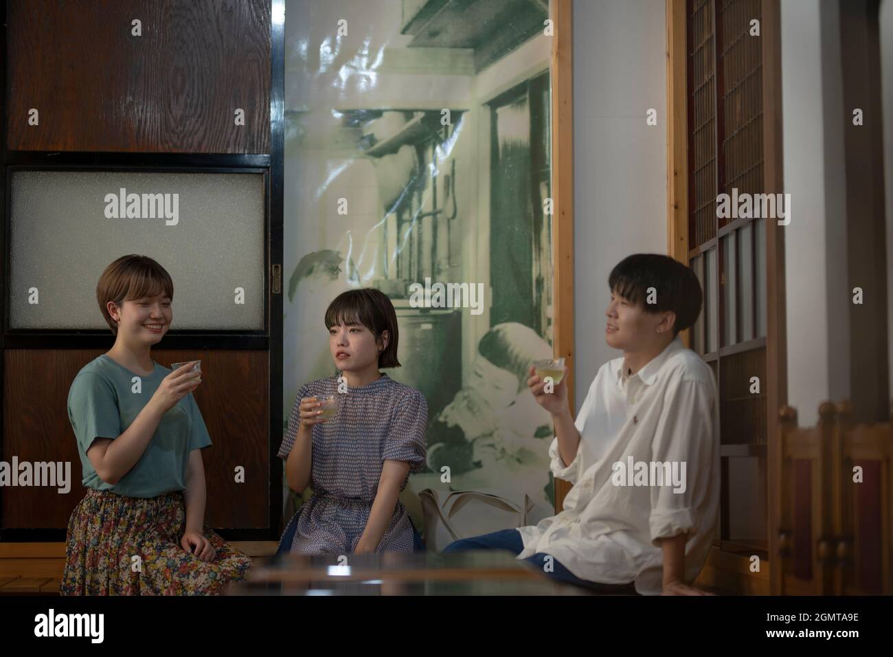Traditional Japanese House - Chat Stock Photo - Alamy