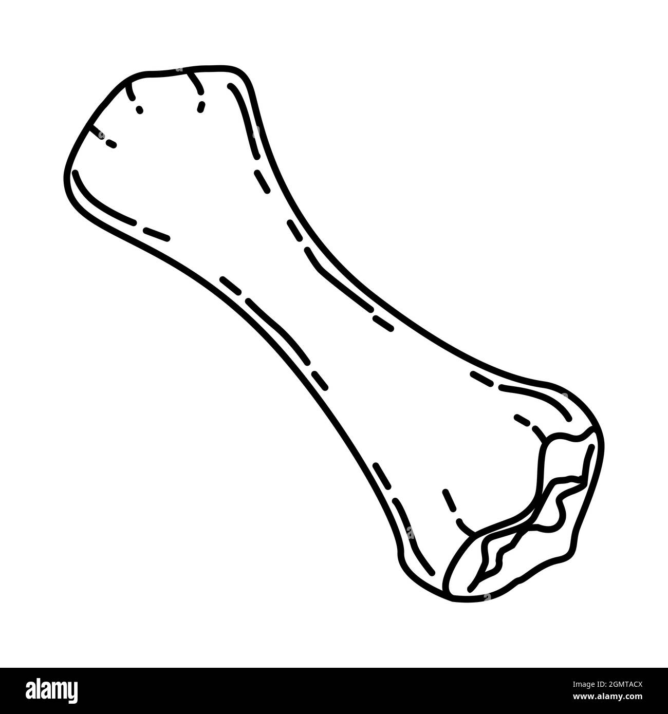 Rubber Bone Dog Toy for Pet Toys Device Hand Drawn Icon Set Vector ...