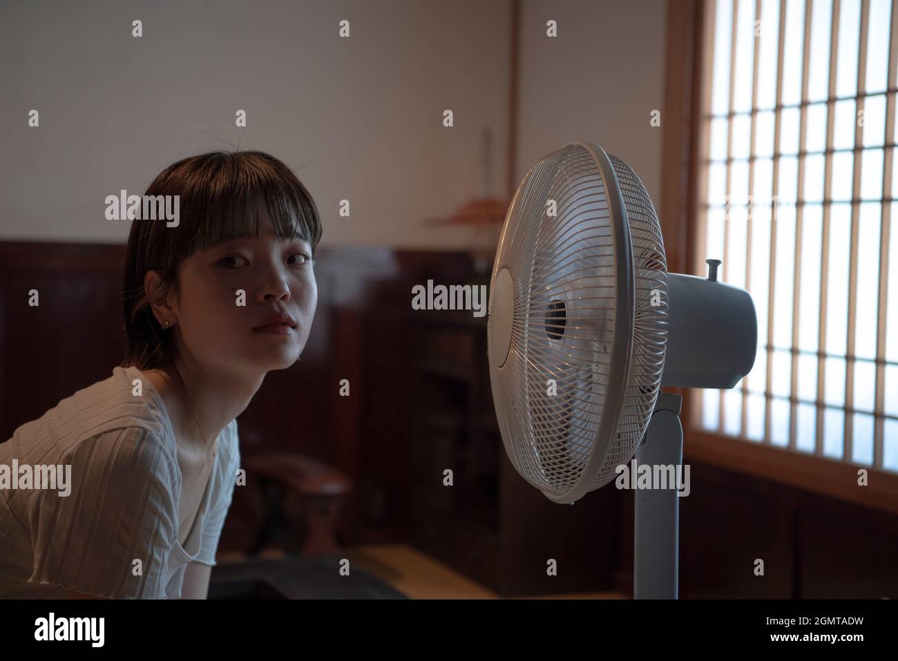 Traditional Japanese House - Relax Stock Photo - Alamy