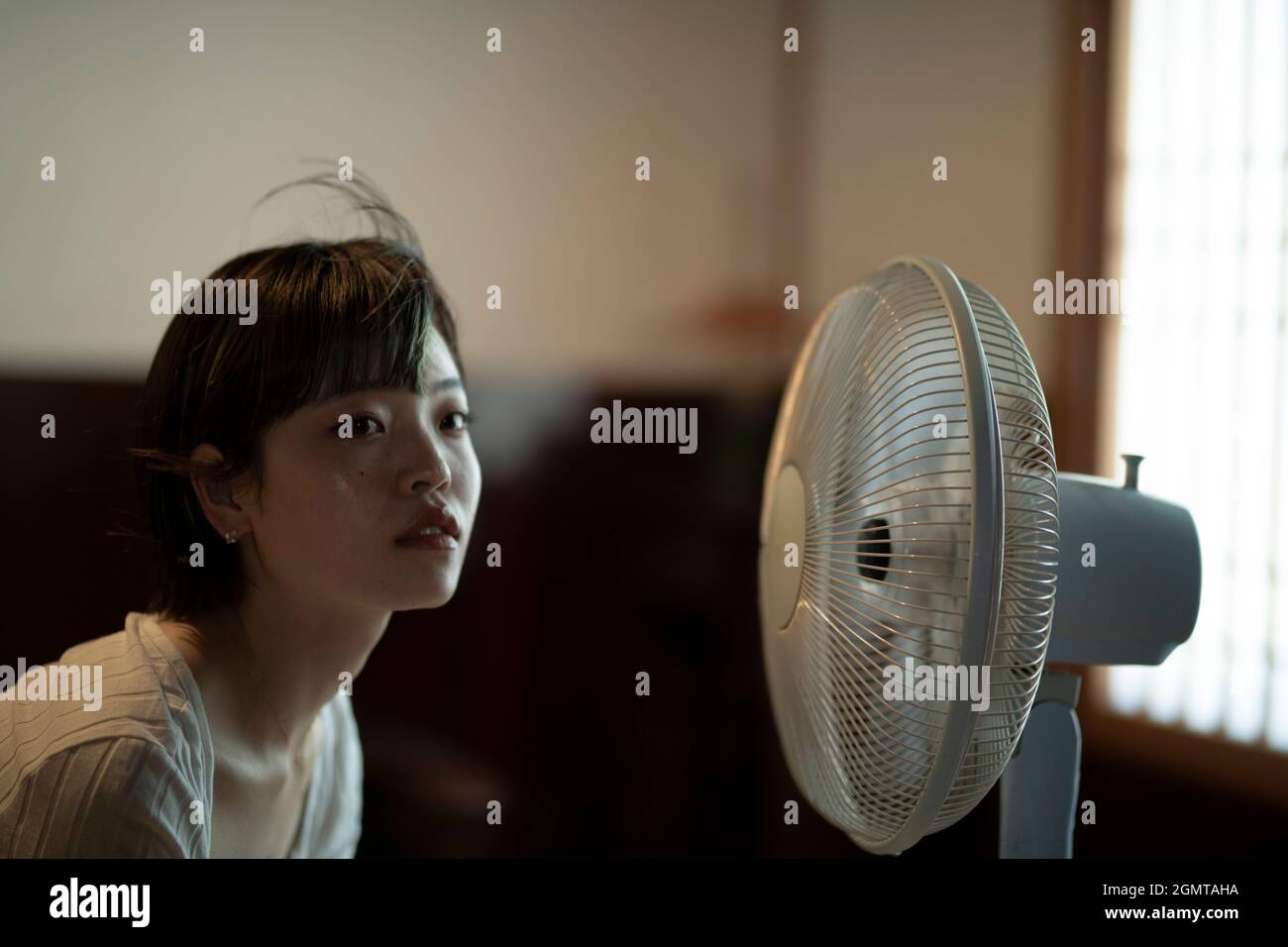 Traditional Japanese House - Relax Stock Photo - Alamy
