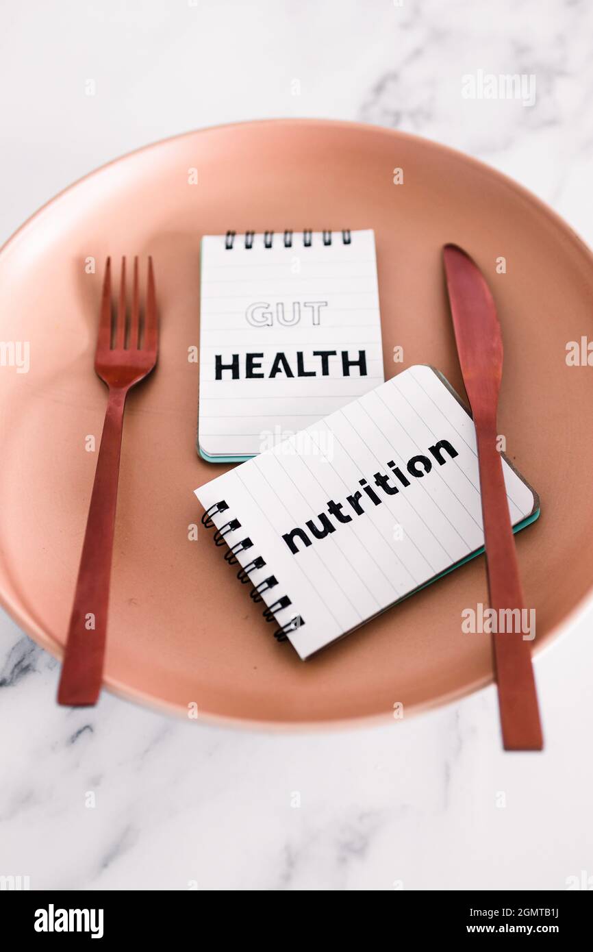 gut health nutrition text on notepads on top of dining plate with fork ...