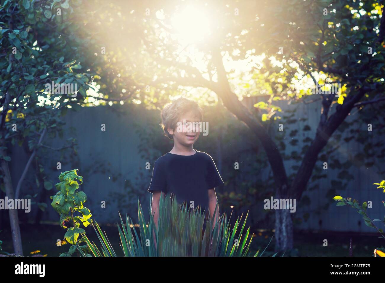 the little boy is harvesting the fall harvest in the garden Stock Photo ...