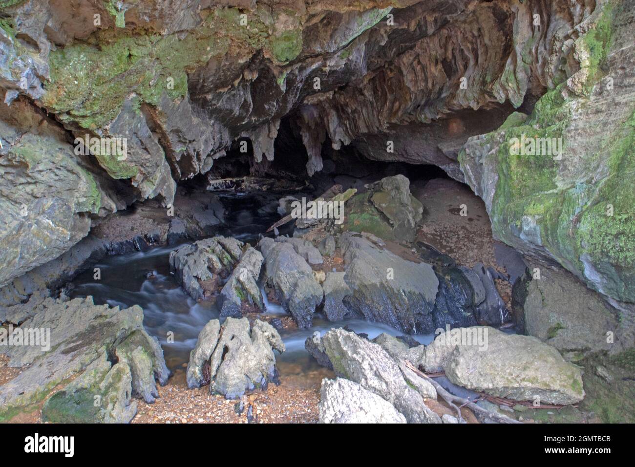 Honeycomb Cave, Mole Creek Karst National Park Stock Photo - Alamy