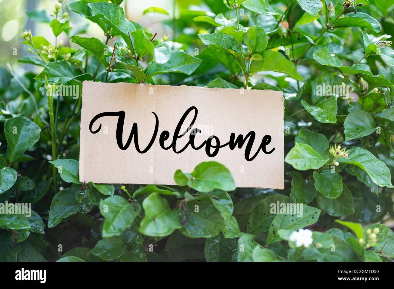 Welcome sign on a cardboard between the leaves. Selective focus points ...