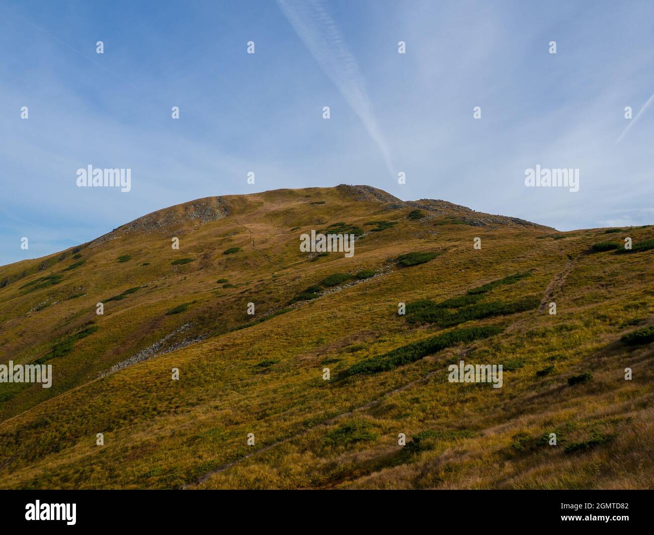 View climbing mount hoverla hi-res stock photography and images - Alamy