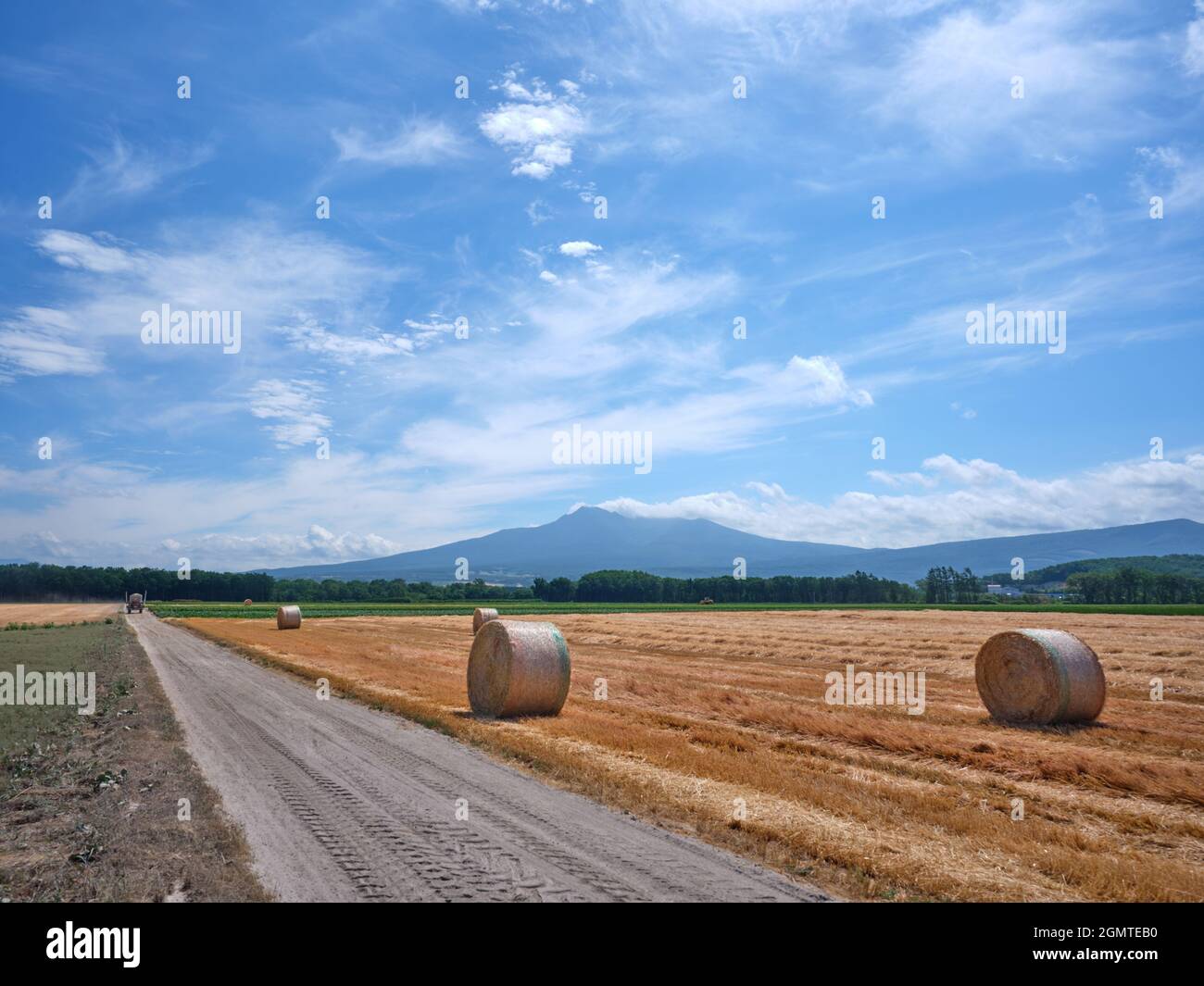 Rolled Wheat Straw Stock Photo - Alamy