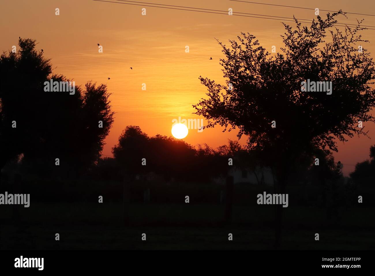 view of full round yellow bright sun and dim sunlight,Sunset behind ...