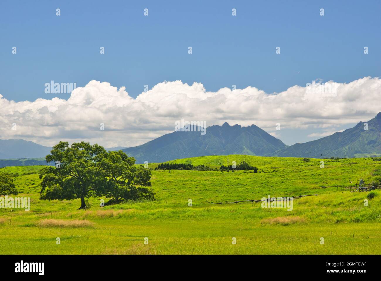 Mt ranch national park hi-res stock photography and images - Alamy