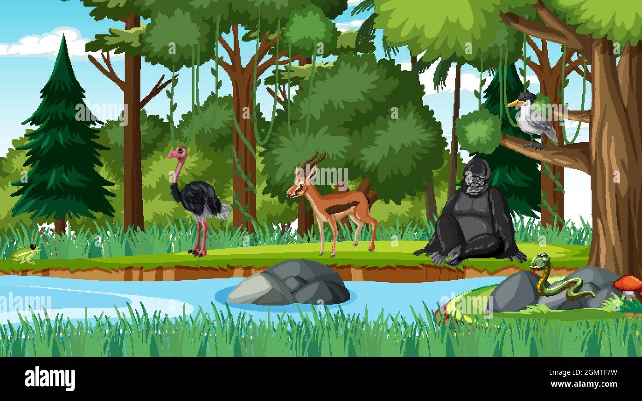 Forest scene with different wild animals illustration Stock Vector ...