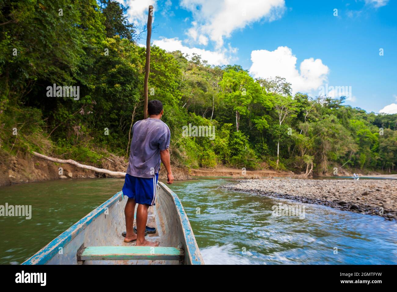 A panamanian man in a dugout canoe is travelling upwards Rio Pequeni ...