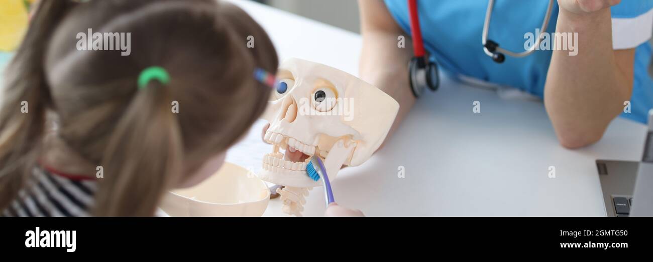 Little girl together with dentist learns to properly brush her teeth on ...