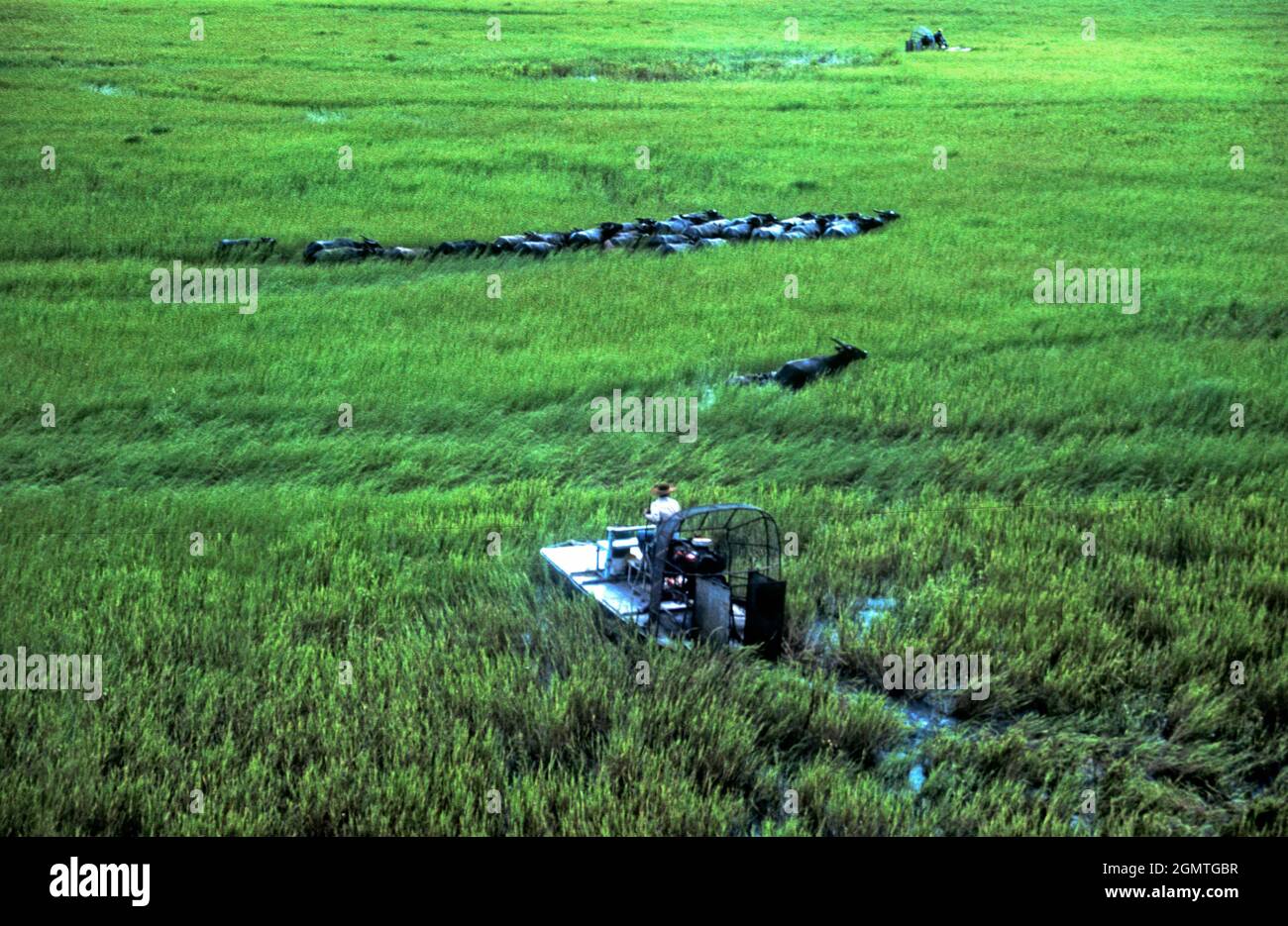 Nt muster hi-res stock photography and images - Alamy