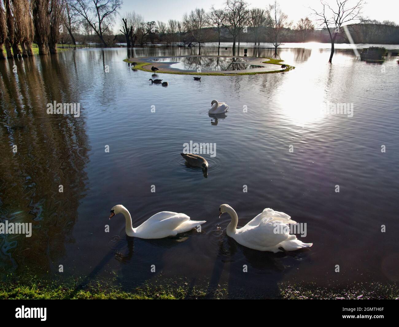 The aftermath of what appear to be increasingly common winter floods in ...