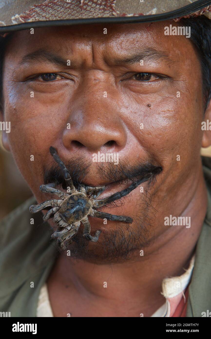 Fried spider hi-res stock photography and images - Alamy