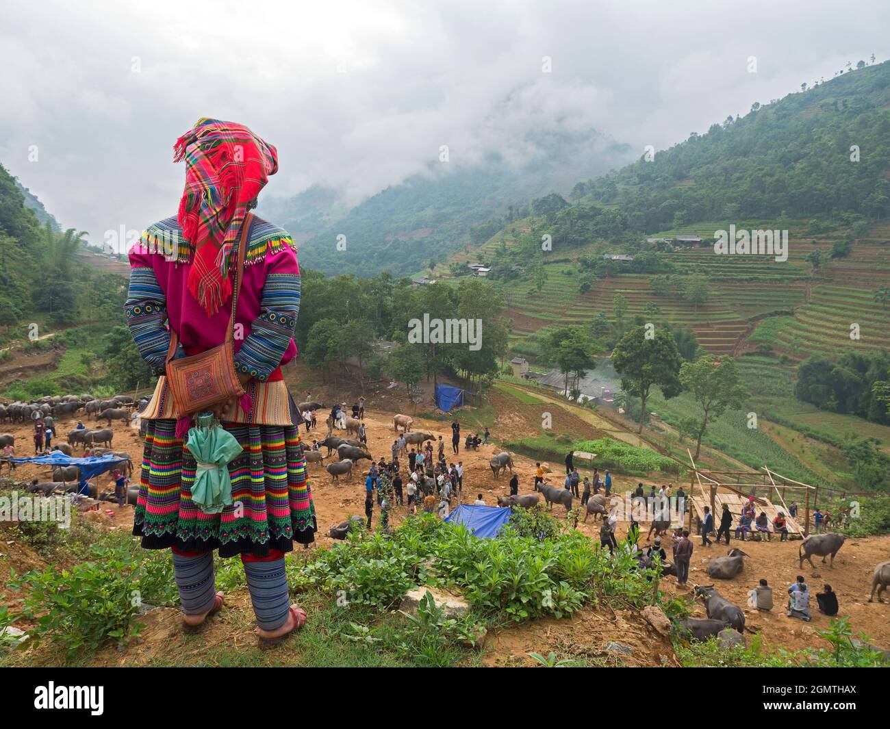 Hmong chinese hi-res stock photography and images - Alamy