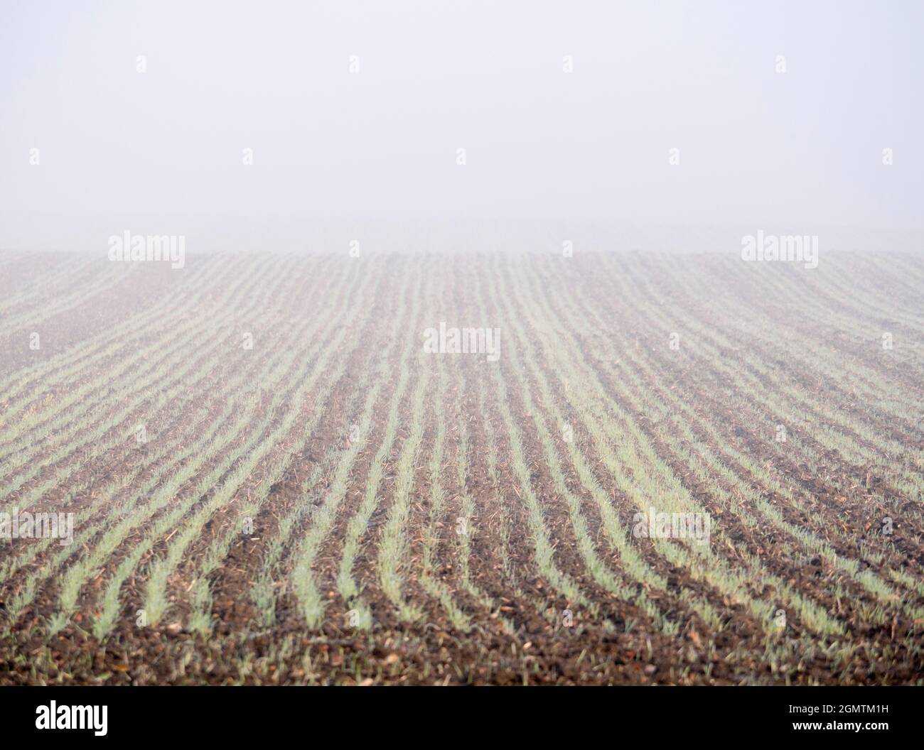 Radley Village, Oxfordshire, England - 4 November 2020; An exercise in ...