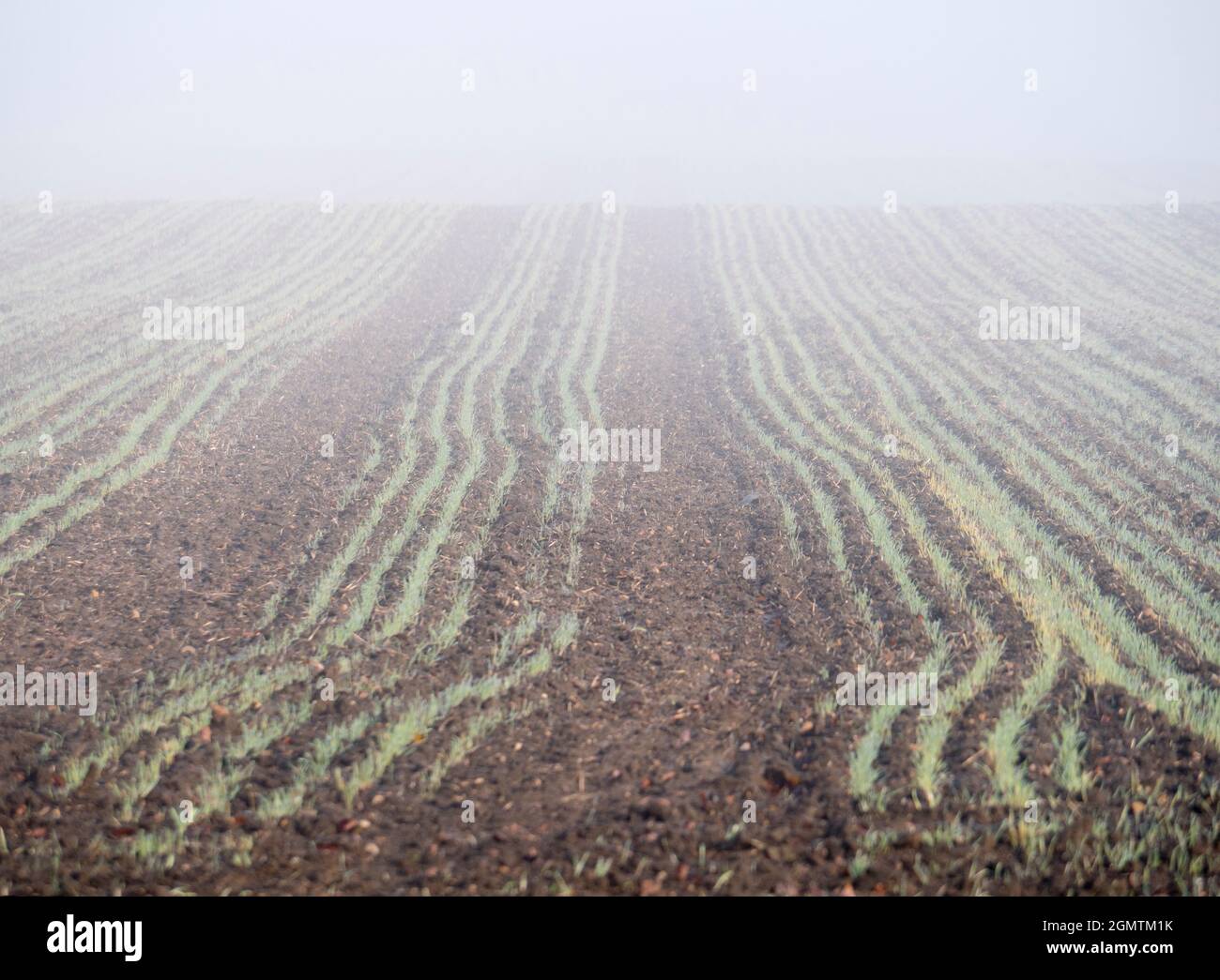 Radley Village, Oxfordshire, England - 4 November 2020; An exercise in ...