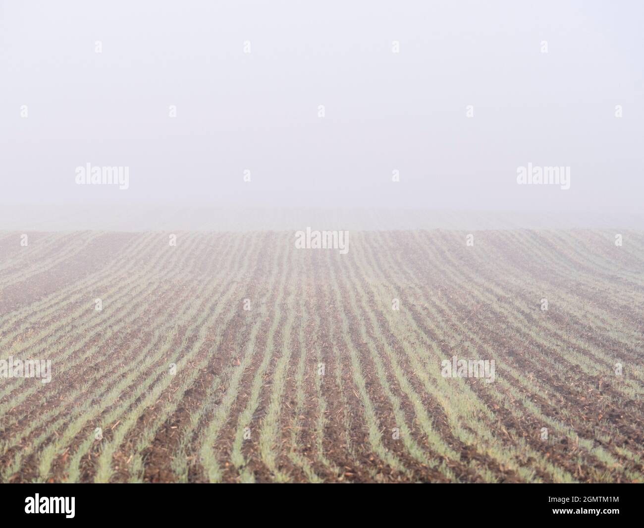 Radley Village, Oxfordshire, England - 4 November 2020; An exercise in ...