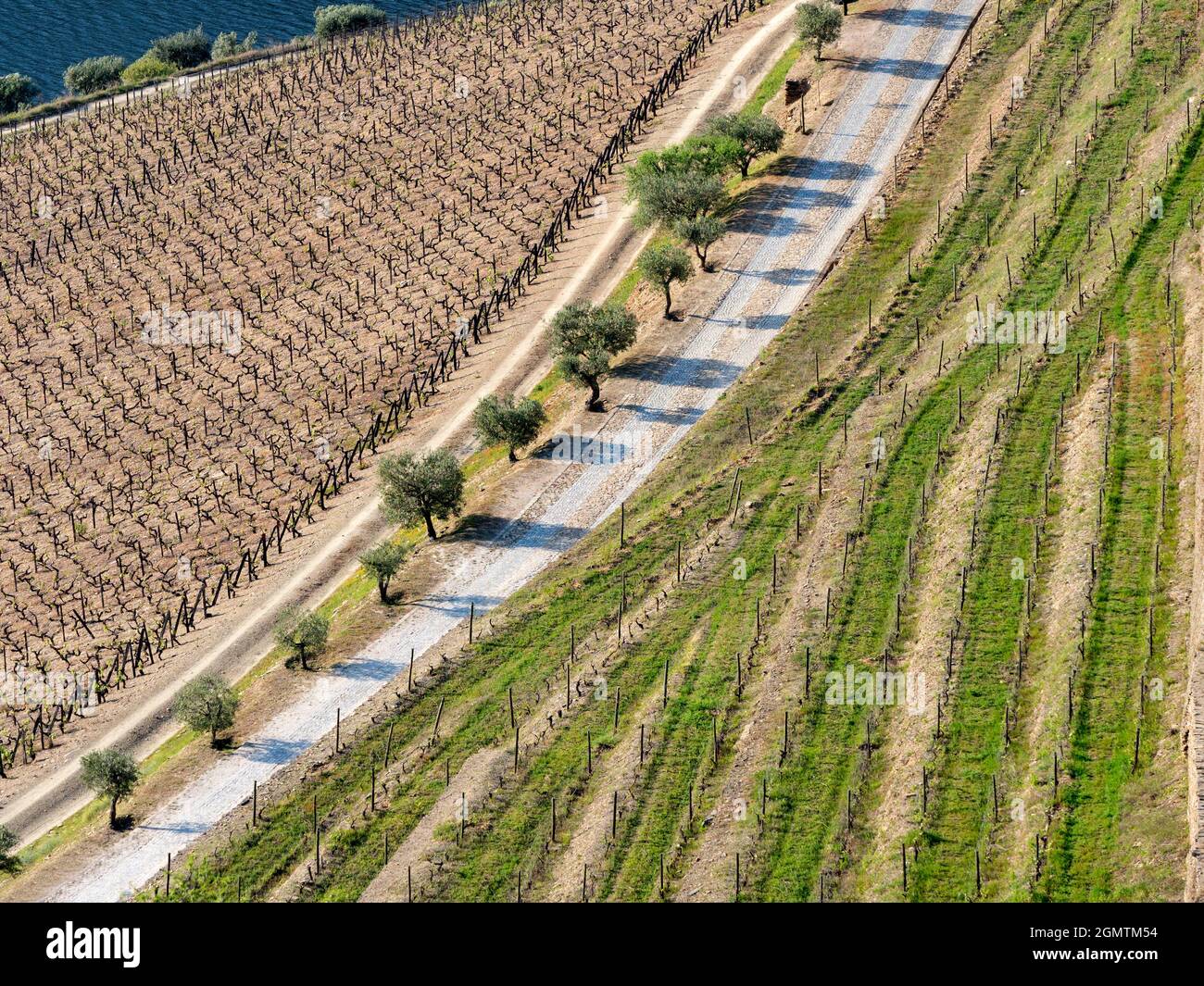 The scenic Douro Valley, which runs from the Atlantic coast at Porto ...