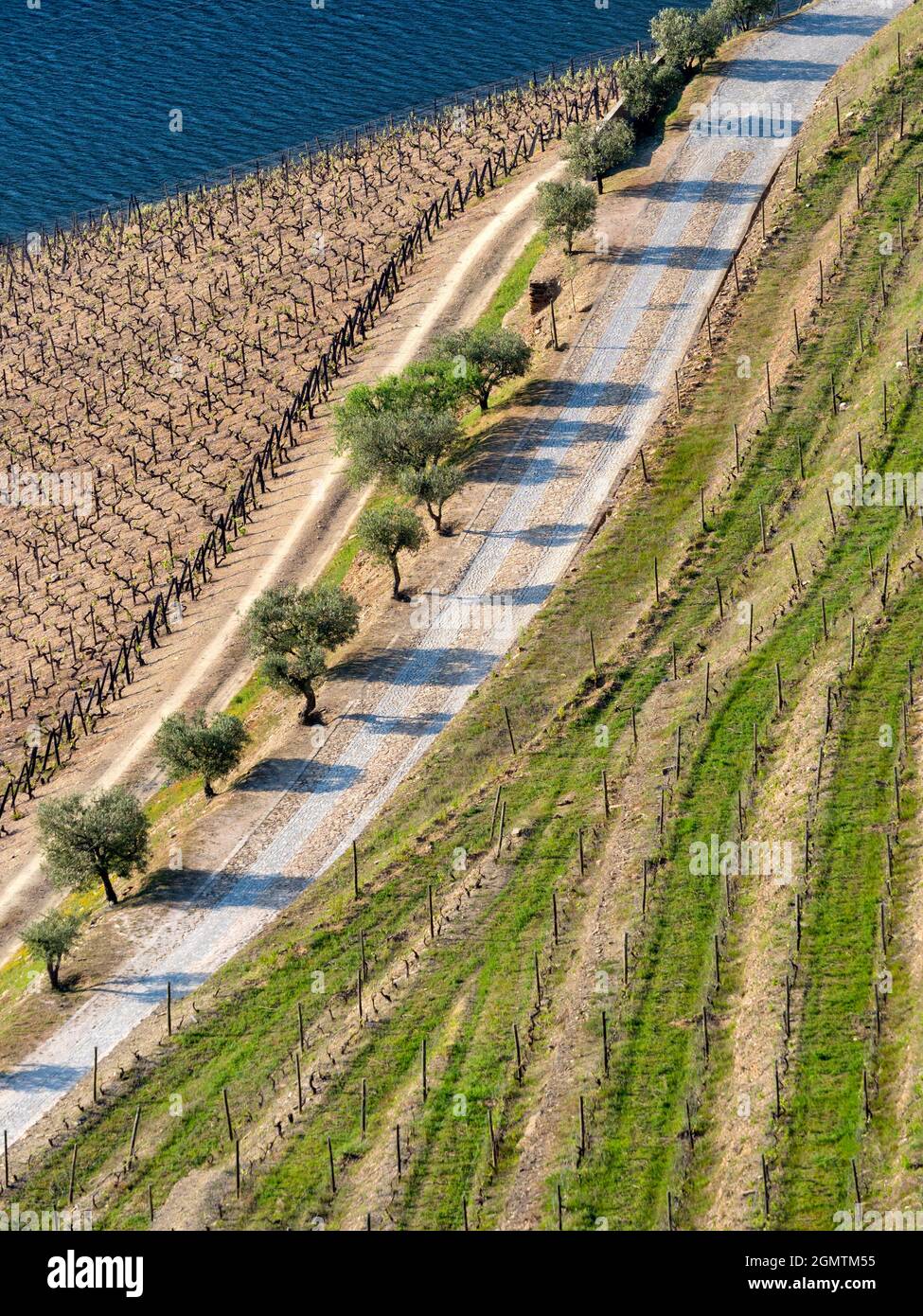 The scenic Douro Valley, which runs from the Atlantic coast at Porto ...