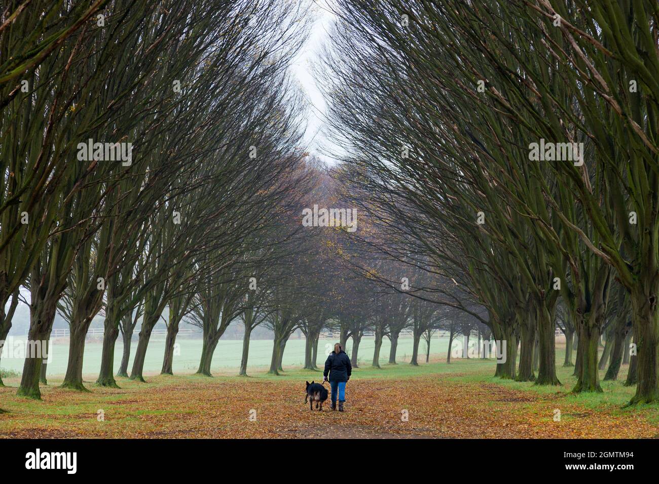 Radley Village, Oxfordshire, England - 20 October 2018; Quite my ...