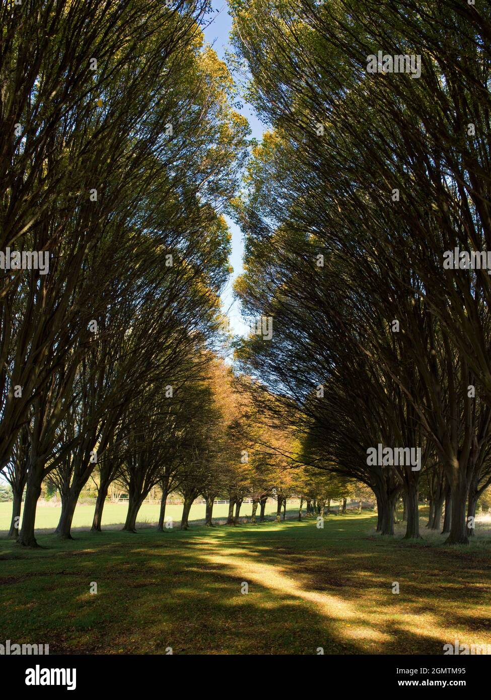 Arbour uk hi-res stock photography and images - Alamy