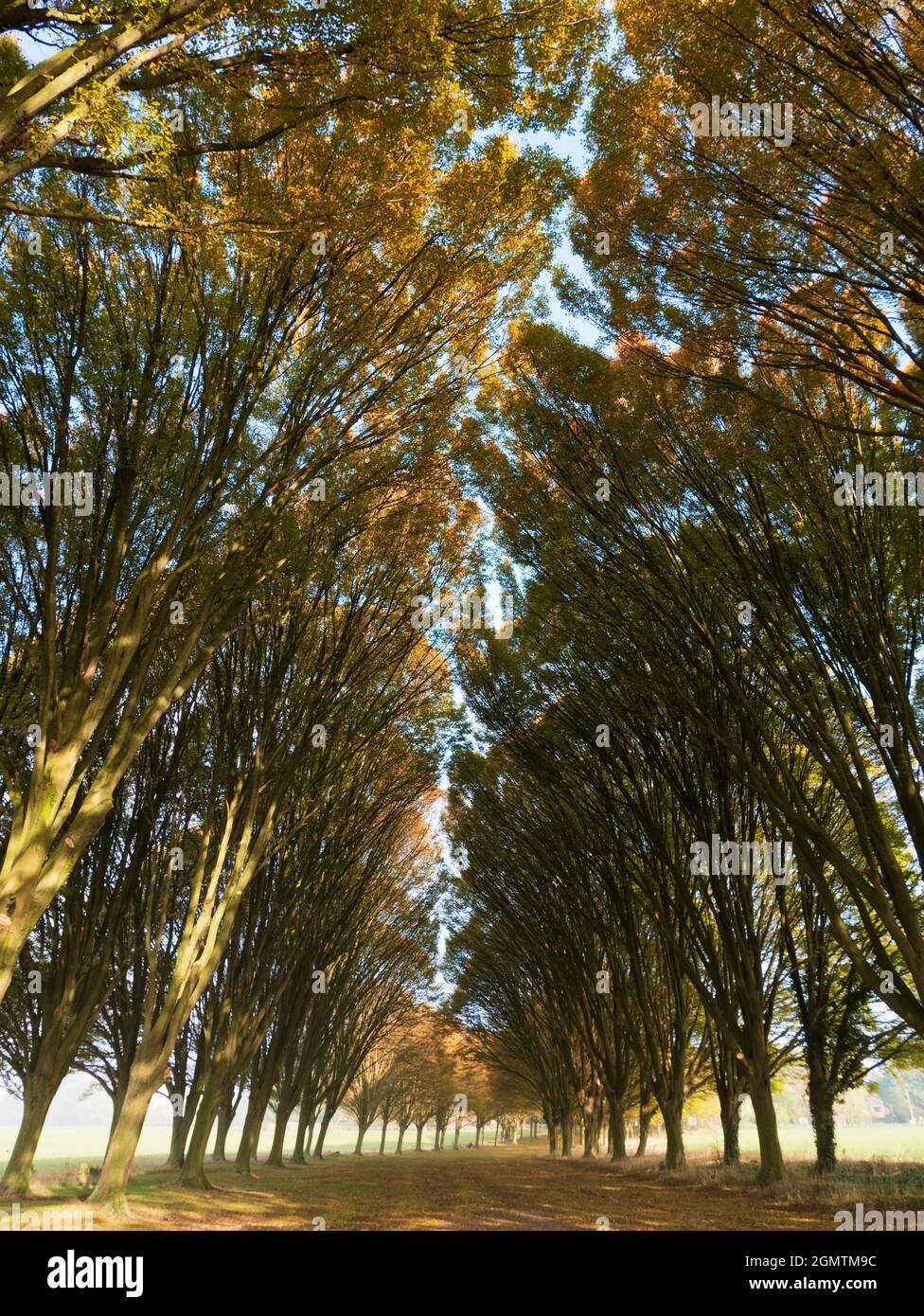 Arbour Uk High Resolution Stock Photography and Images - Alamy