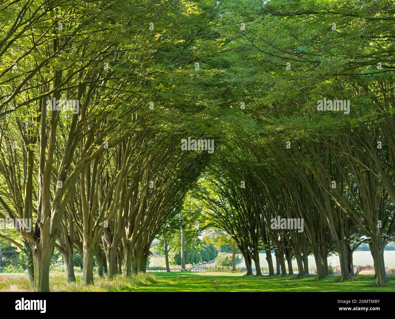 Radley Village, Oxfordshire, England - 23 June 2020; no people in view ...