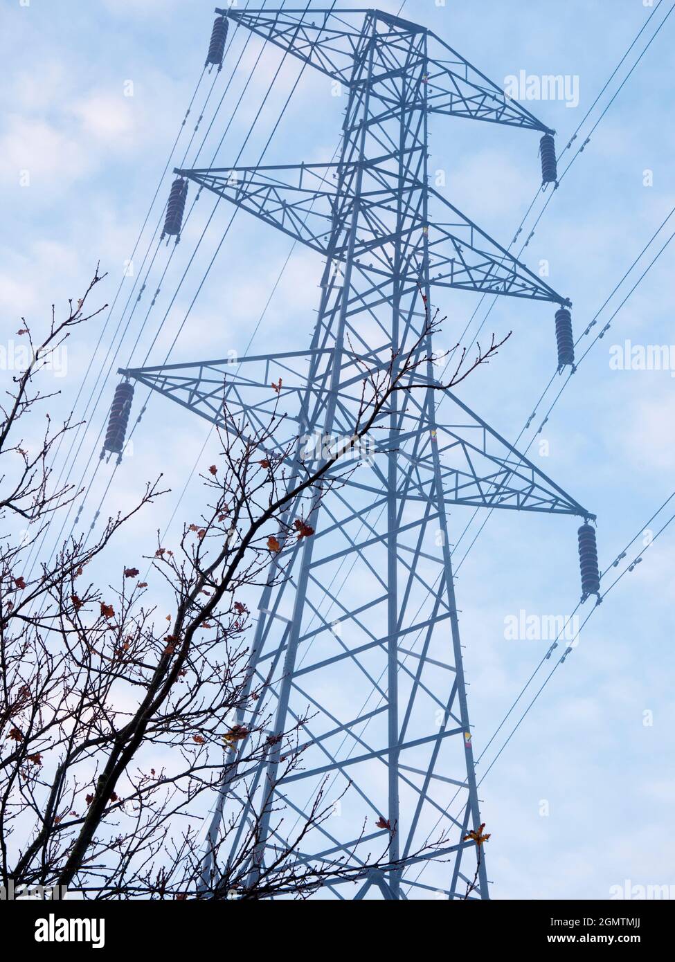 Oxfordshire, England - 26 November 2020; no people in view. I love ...