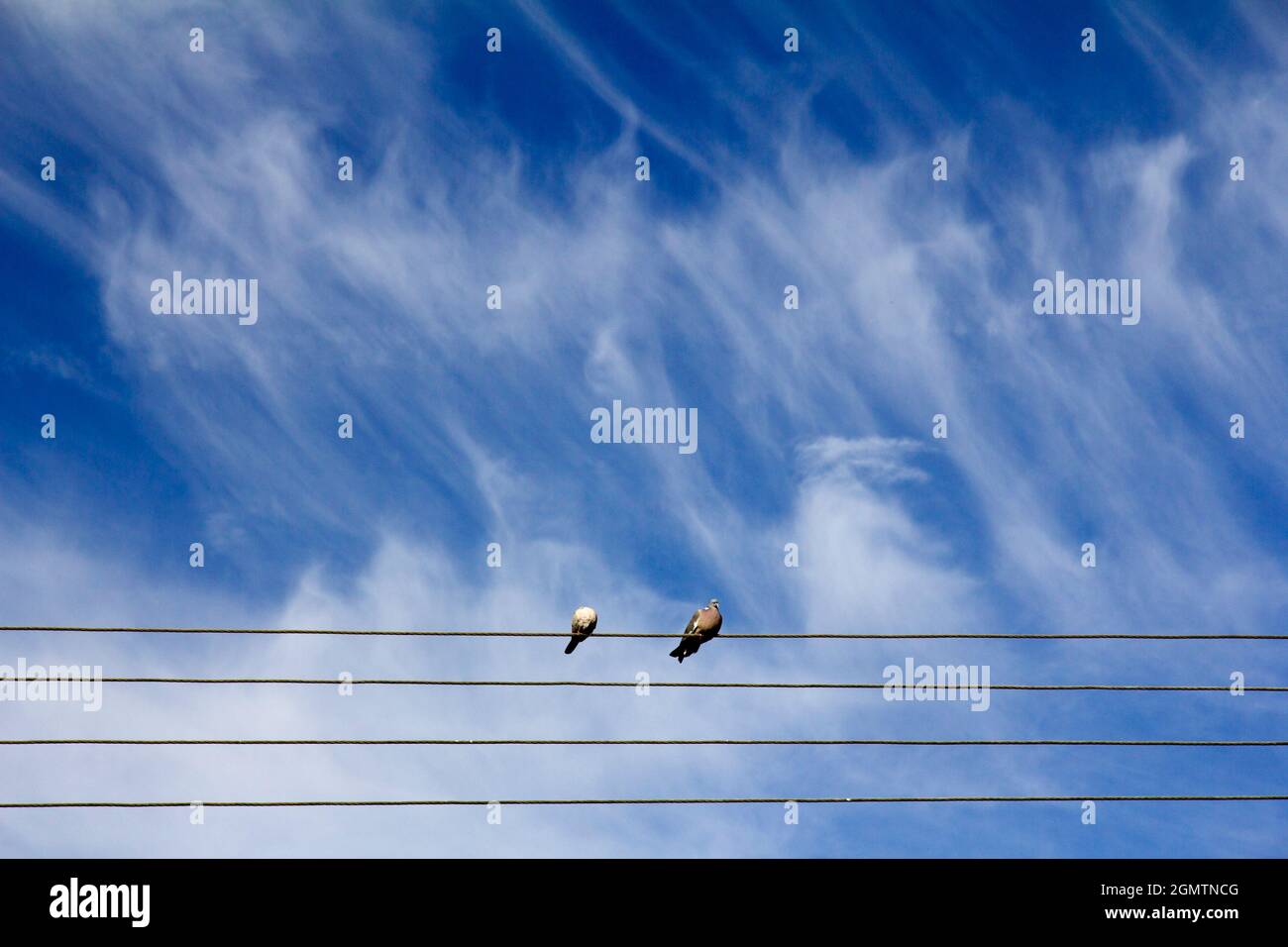 Telegraph pole silhouette hi-res stock photography and images - Alamy