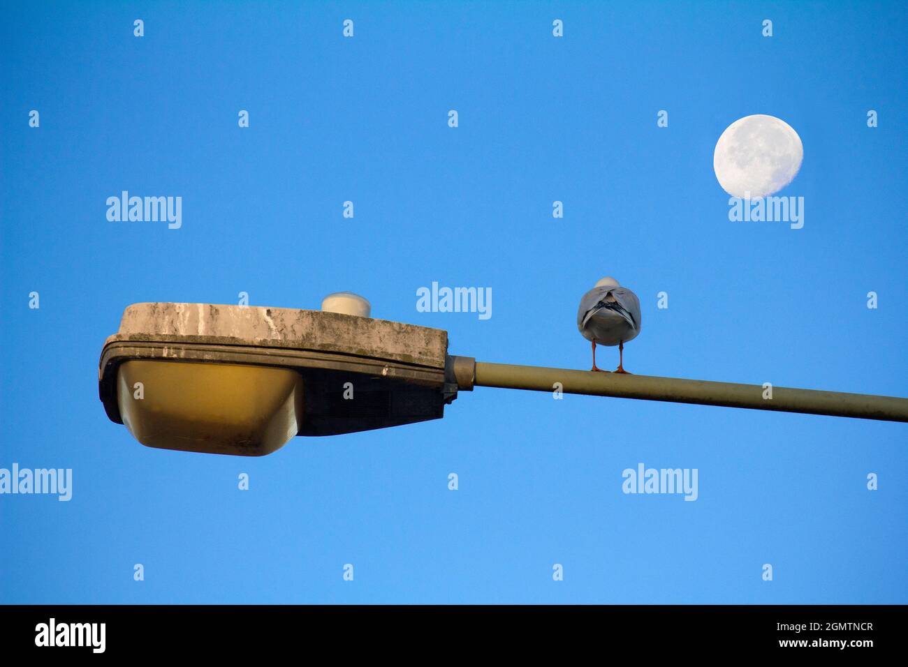 Oxford, England - 15 October 2011 A strange juxtaposition seen in an ...