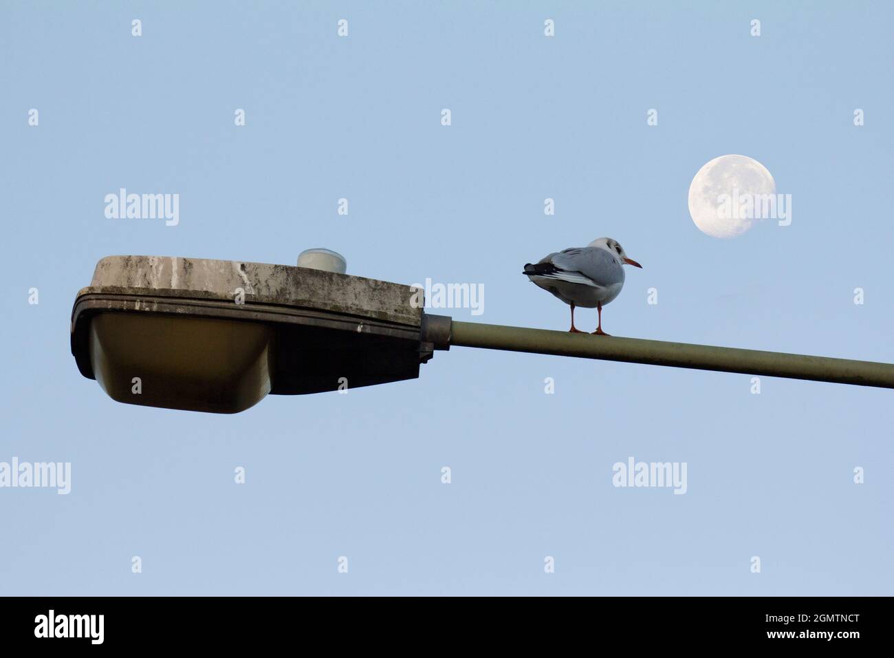 Oxford, England - 15 October 2011 A strange juxtaposition seen in an ...