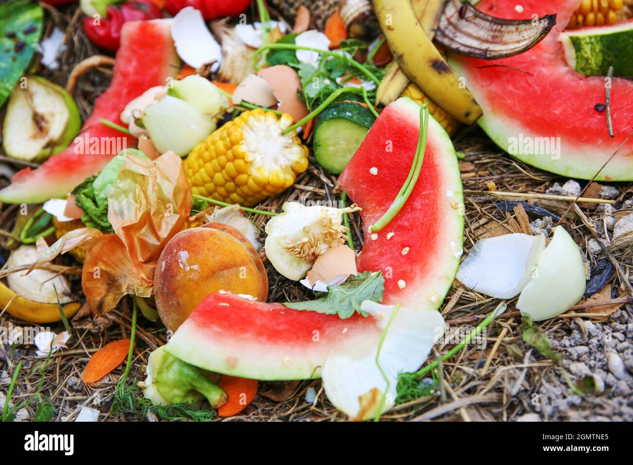 Domestic waste for compost from fruits and vegetables in garden Stock ...